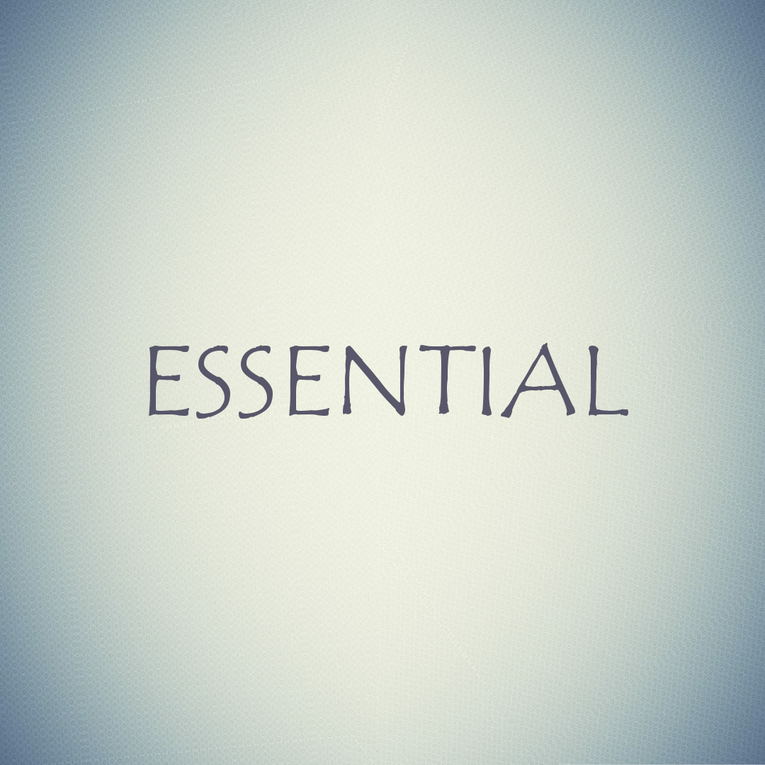 E-essential – 20andfivedotcom
